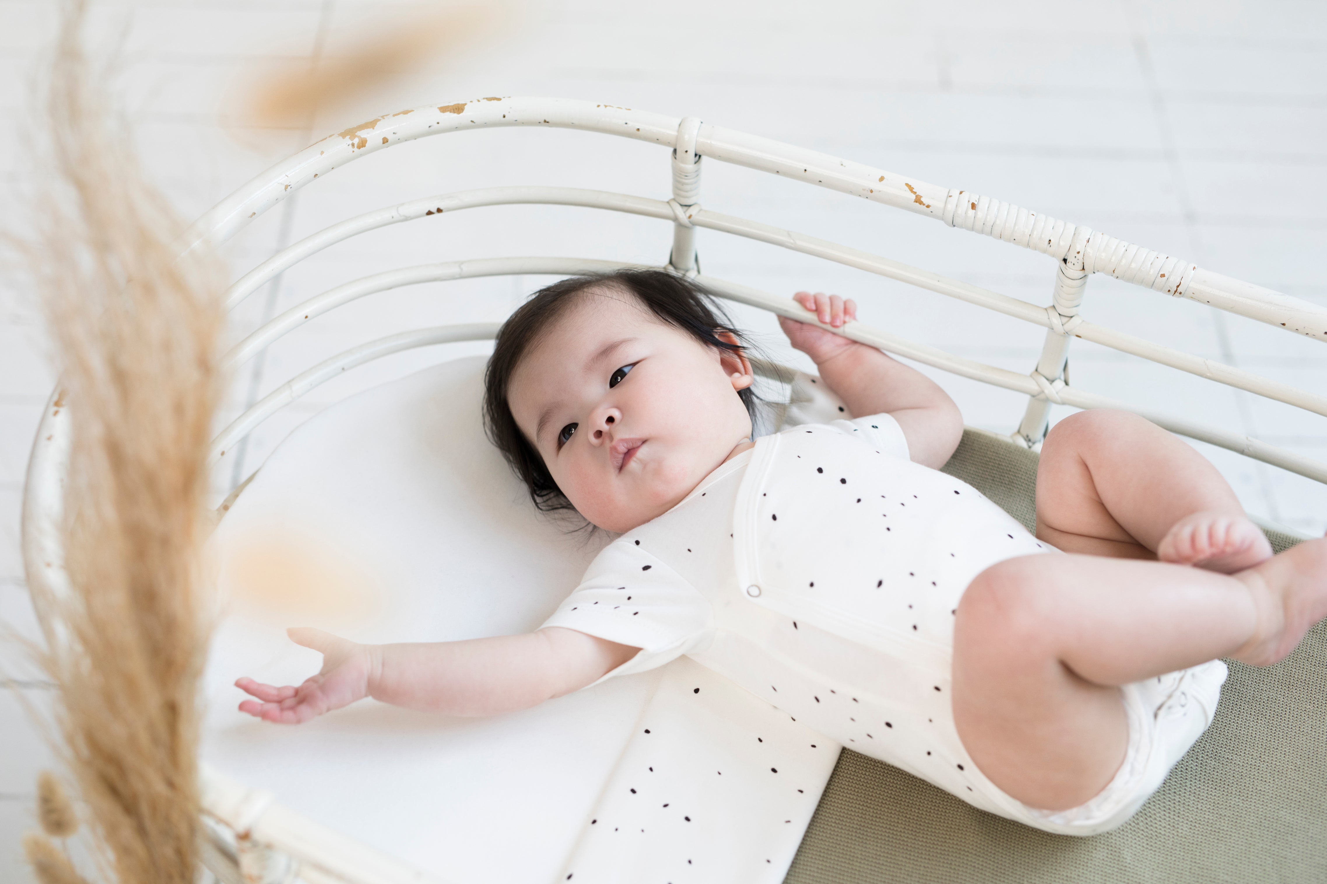 Bodys & Strampler für Babys online kaufen 😍 – Love you, little Monster!